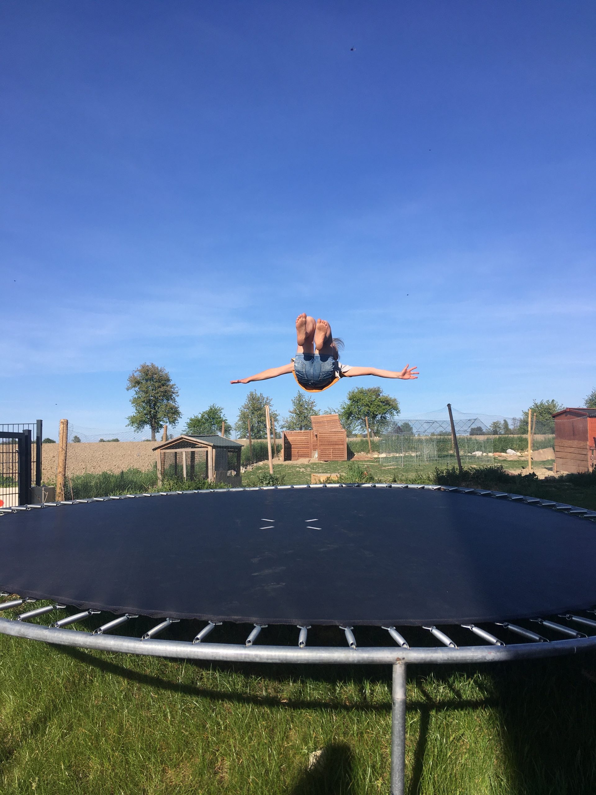 Von Engeln und Teufeln oder: Ich gartle, also bin ich - Michaela Anna Ogris